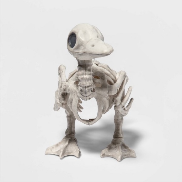 Hyde & Eek Boutique | Holiday | 6 Duck Skeleton Halloween Decoration ...